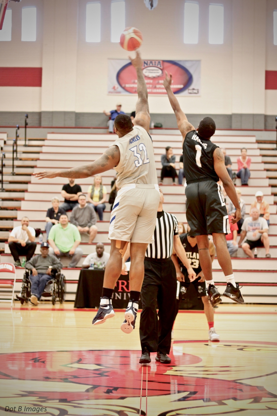 Wichita Wizards 2019 – Dot B Images